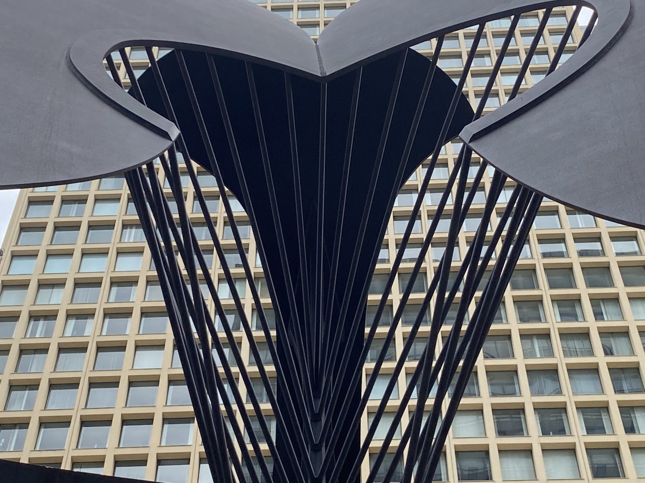 Mandatory and Directory Statutes: What does "shall" really mean ...